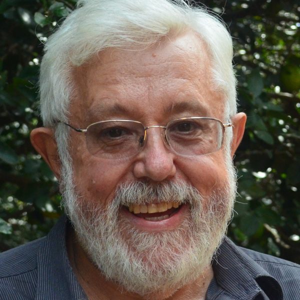 Confestival – Dragon Dreaming International